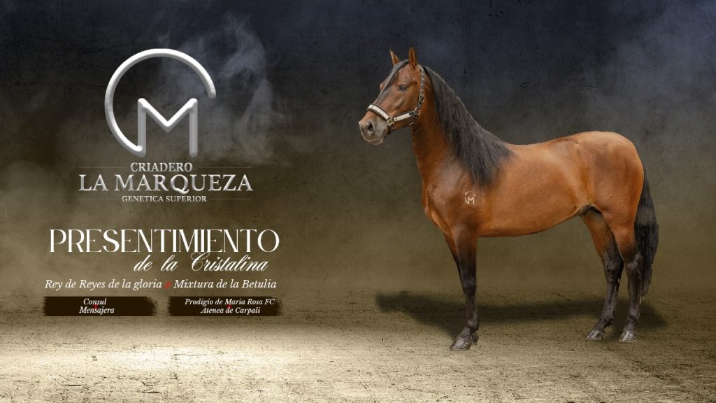 PRESENTIMIENTO DE LA CRISTALINA – Criadero La Marqueza