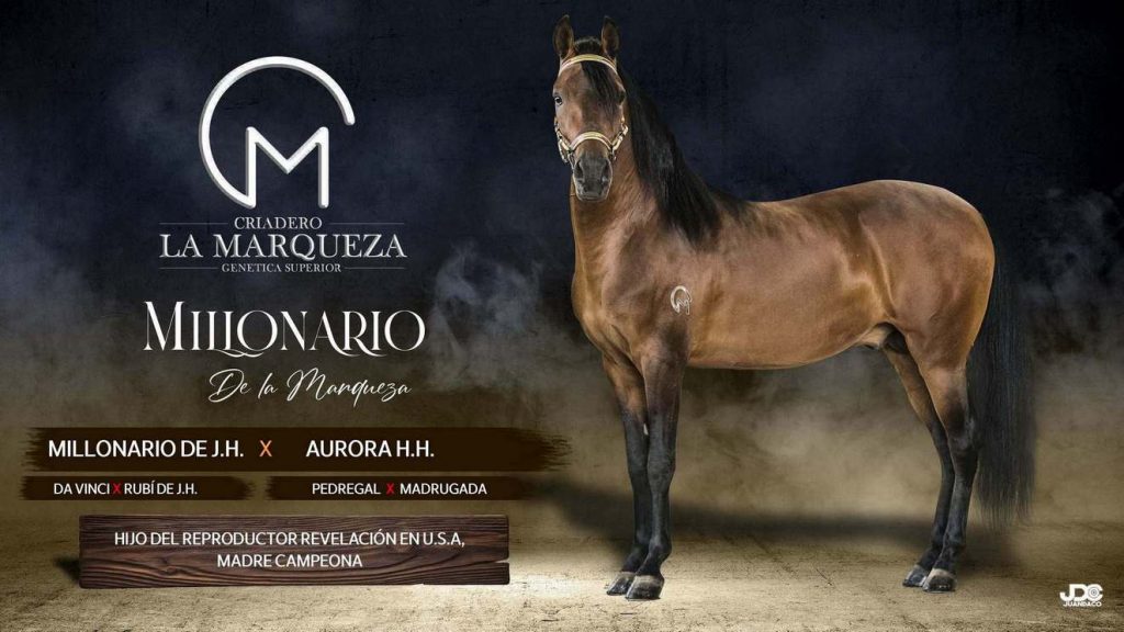 MILLONARIO DE LA MARQUEZA – Criadero La Marqueza